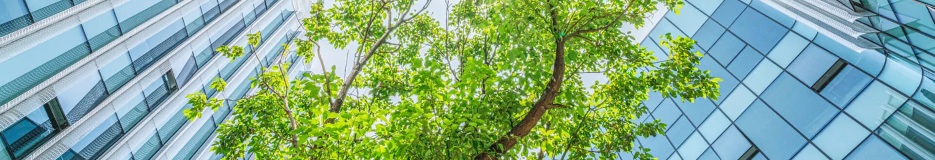 First sustainability-linked bond in Spain